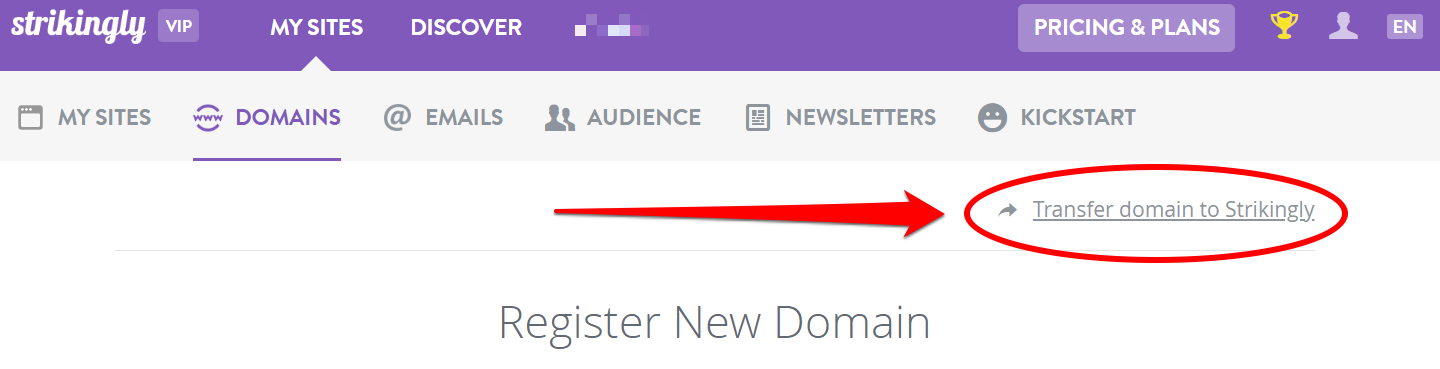 Transferring a Google domain to Strikingly – Strikingly Help Center
